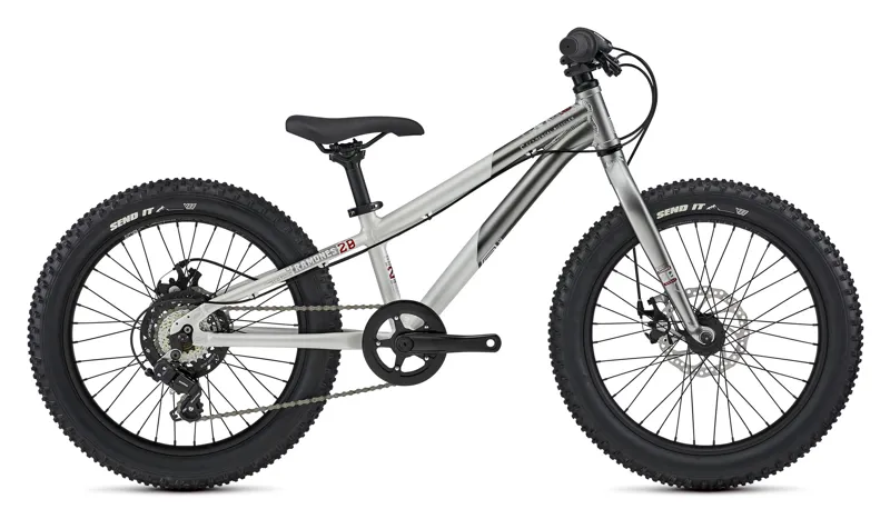 2021 RAMONES 20 CHROME